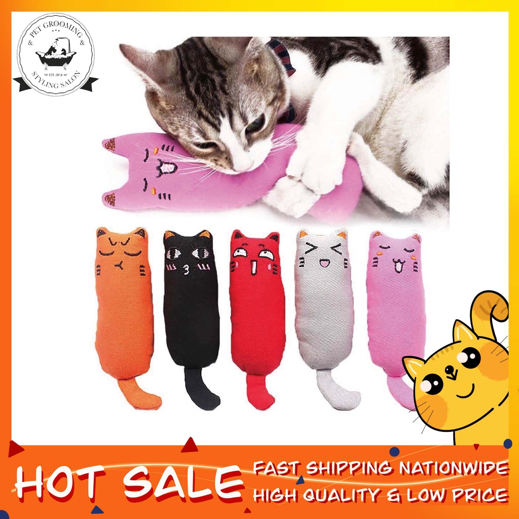 Cat Nip Chew Toys Teething Interactive Catnip Stuffed Kitten Toys Soft Pet Toys | Shopee Philippines