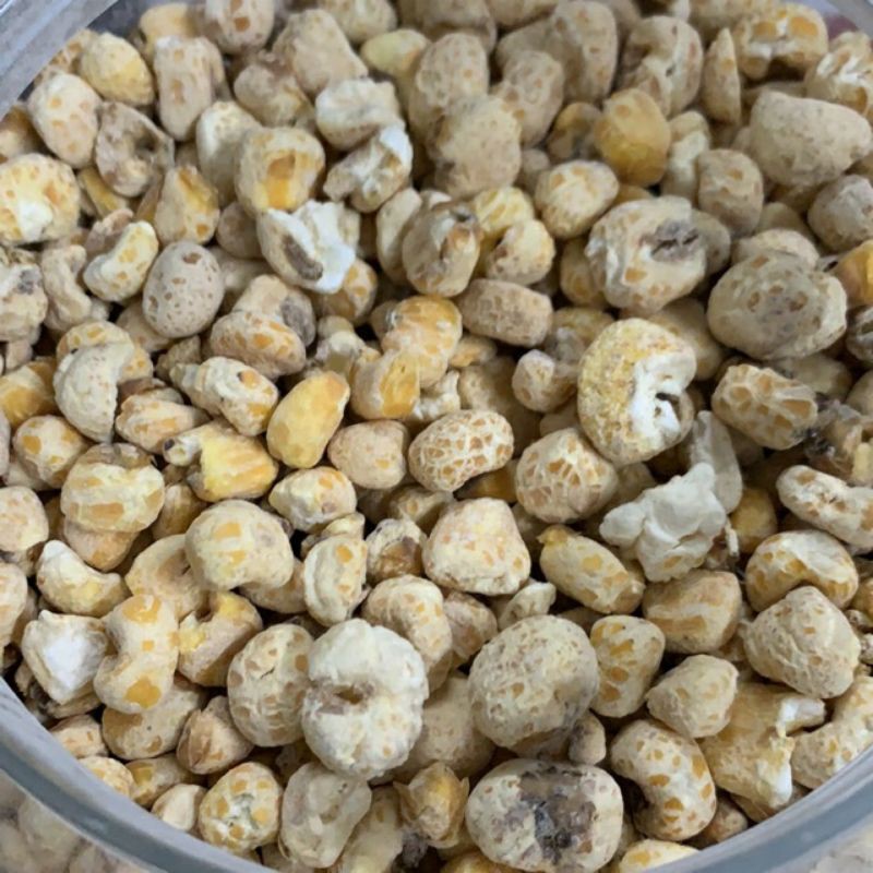 Sticky Rice Popcorn & Fragrant-Sweet Ginger Corn 0.5kg | Shopee Philippines