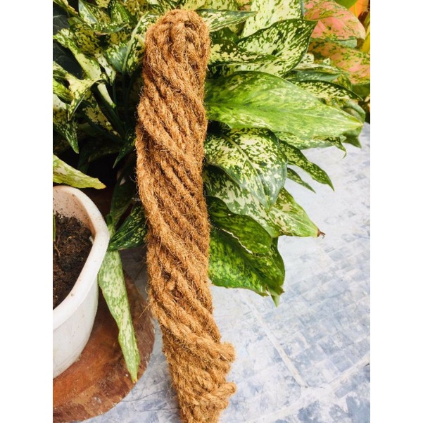 Native Coconut fiber Ropes ( Coconut rope) | Shopee Philippines