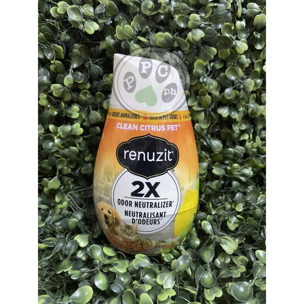 Renuzit Clean Citrus Pet Air Freshener 198g | Shopee Philippines