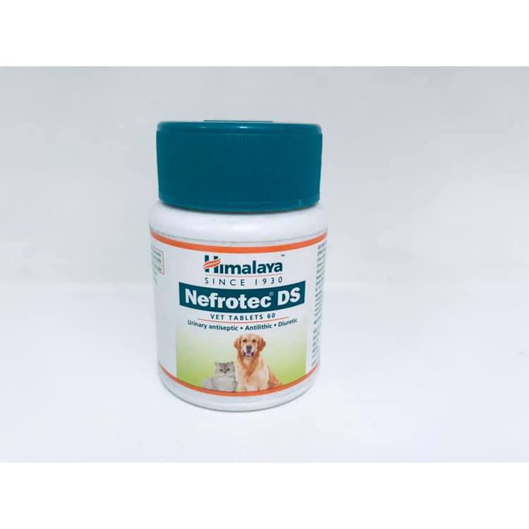 Himalaya Nefrotec DS 60TABLETS | Shopee Philippines
