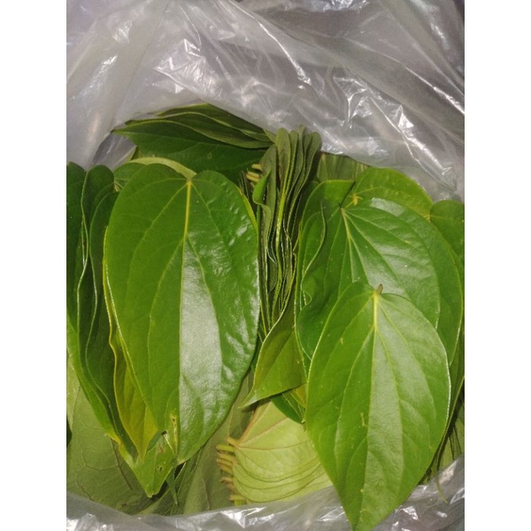Gawed/ Ikmo/Buyo/Betel LEAVES Not Wild | Shopee Philippines