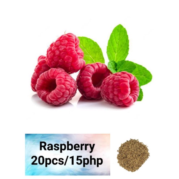 Raspberry Seeds (20pcs) | Shopee Philippines