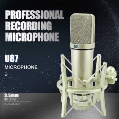 BYC U87 Professional Large Diaphragm Condenser Microphone Kit Equipped ...