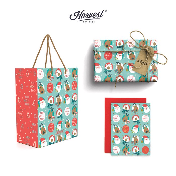 Paper Bag, Gift Paper & Christmas Card Harvest Wrap Kit - Tosca ...