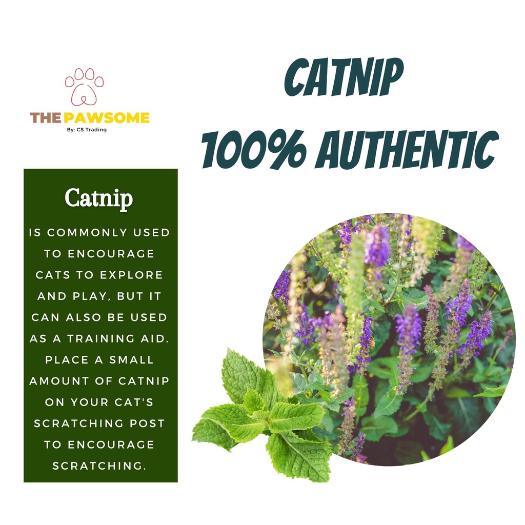 Quality Catnip For Cats 100 Authentic Dried Catnip Made In Usa Shopee Philippines