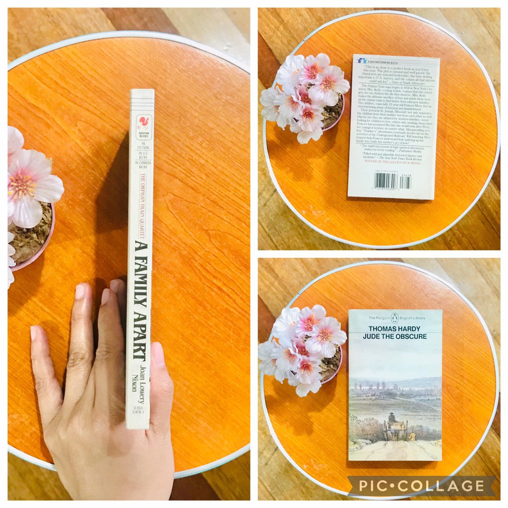 [USED] A Family Apart by Joan Lowery Nixon | Shopee Philippines