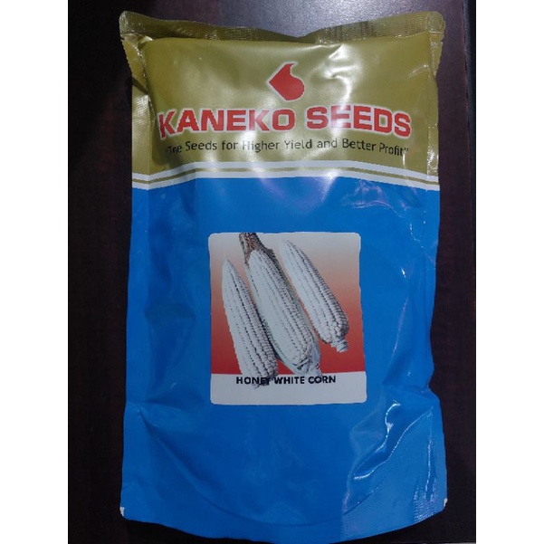 Honey White Corn (1 kilo) Waxy Corn / Lagkitan mais by Kaneko Seeds ...
