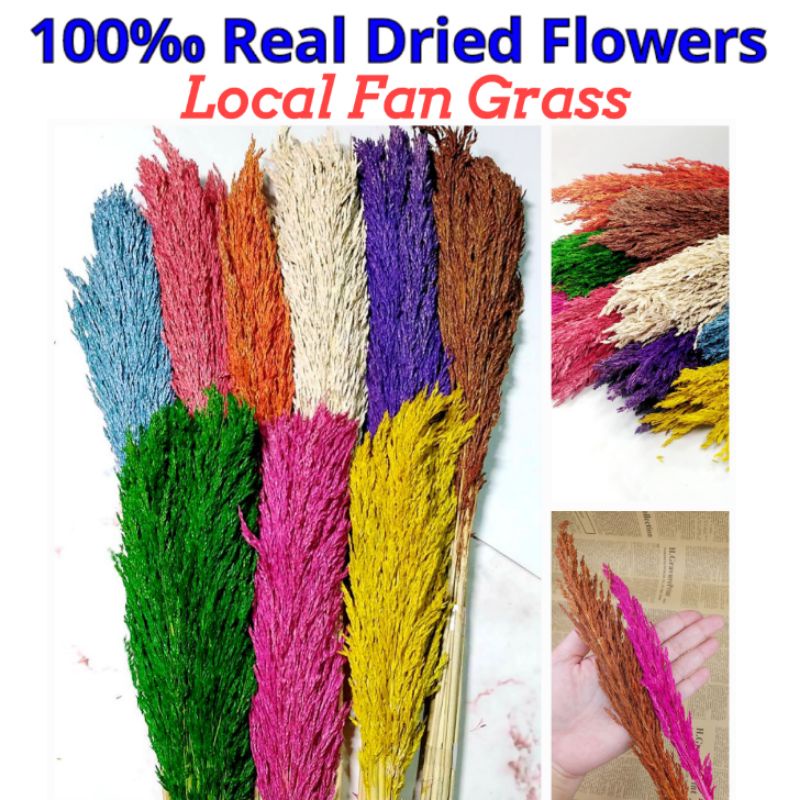 Dried Flower Palay (Local) Fan Grass BUNDLE for Decoration, Resin Art ...