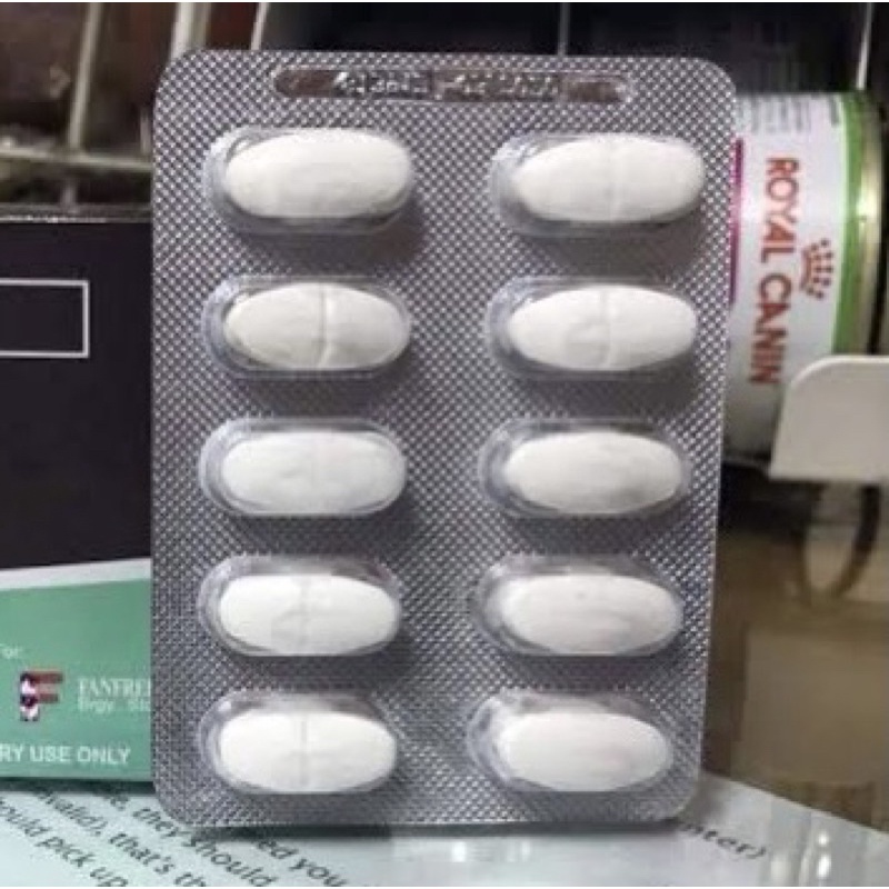 WORMGUARD SOLD PER TABLET DOG DEWORMER | Shopee Philippines