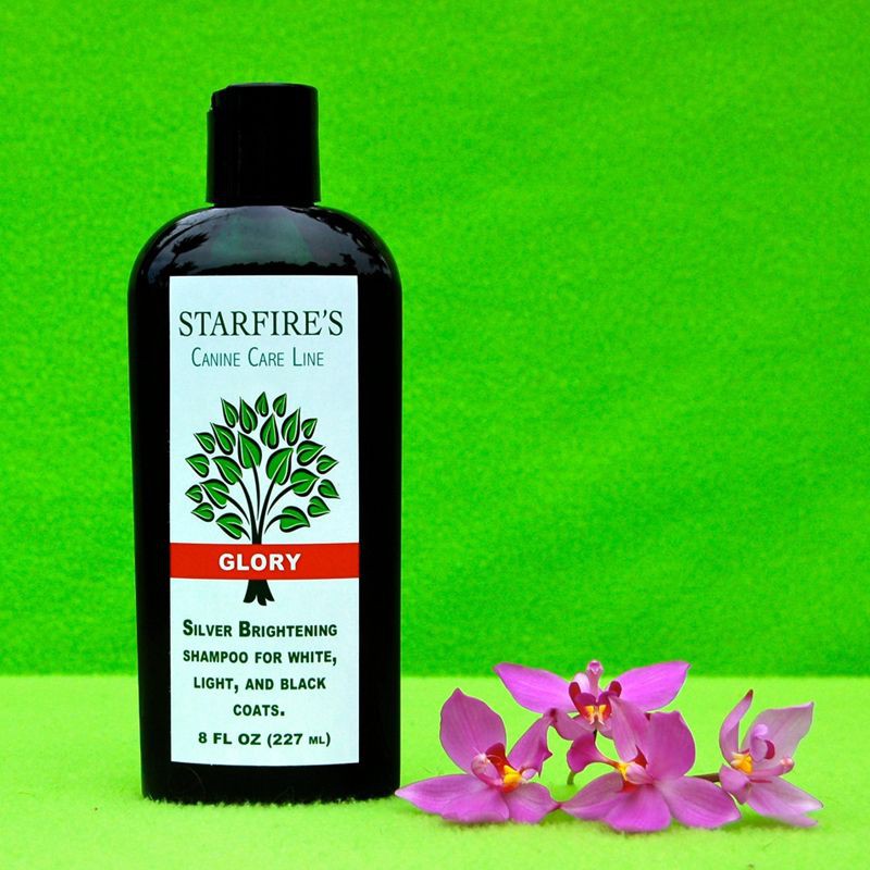 Starfires Glory Brightening Shampoo | Shopee Philippines