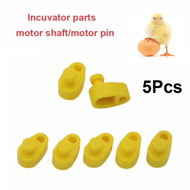 5Pcs High quality motor shaft egg turning motor pin Incubator egg tray ...