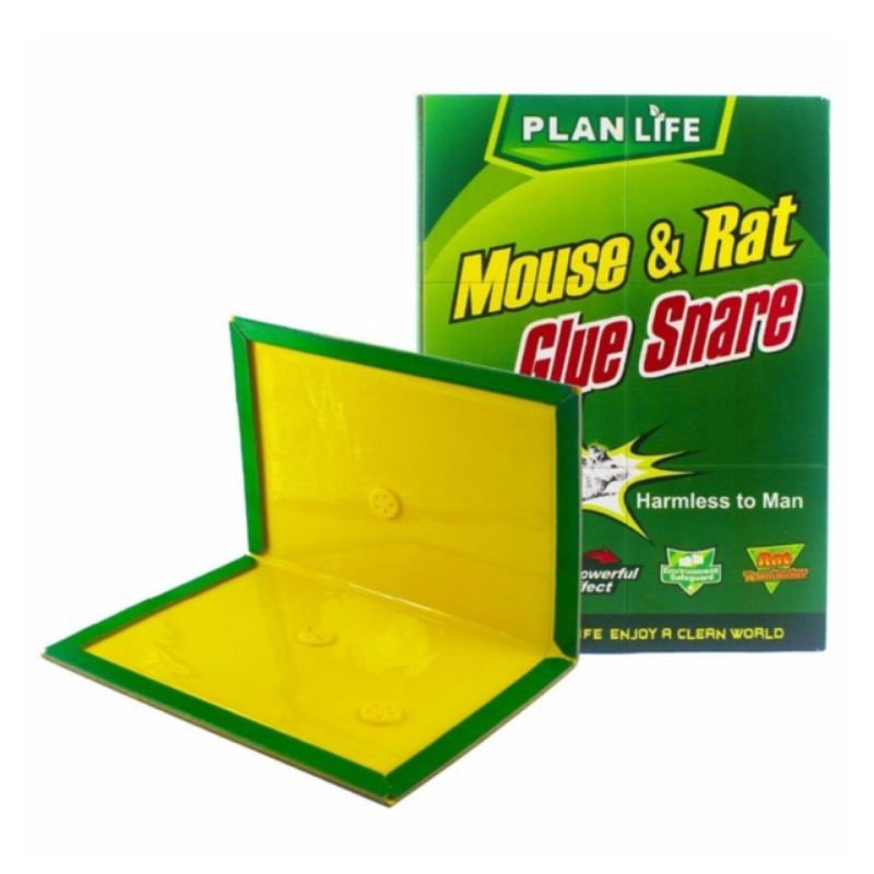STICKY MOUSE TRAP/MOUSE BAIT | Shopee Philippines