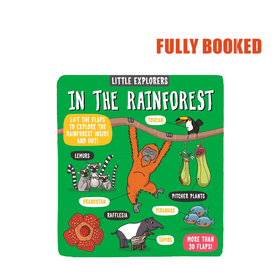 Little Explorers: In the Rainforest (Board Book) by Dynamo Ltd ...