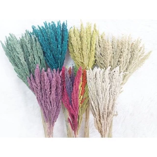 trigo - Best Prices and Online Promos - Aug 2025 | Shopee Philippines