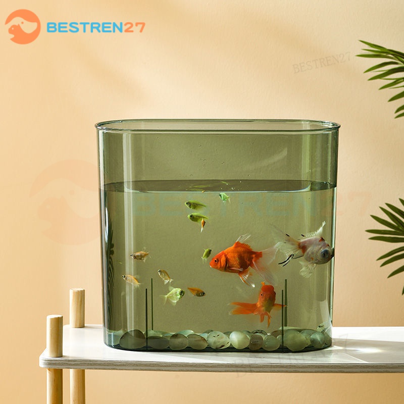 Ready Straw Fish Tank Aquarium Desktop Gift Box PET Small Goldfish Home ...