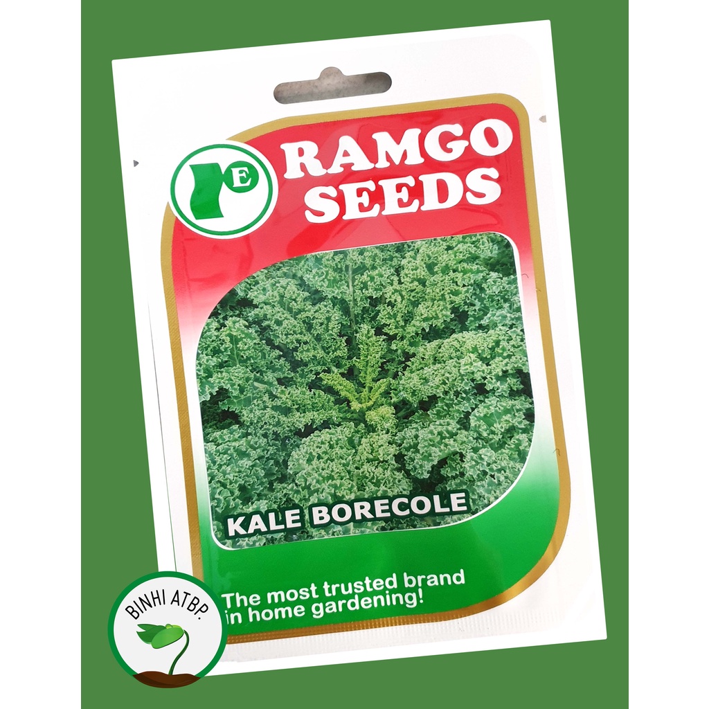Ramgo Kale (Curly Green) Borecole Green Reflex Seeds | Shopee Philippines