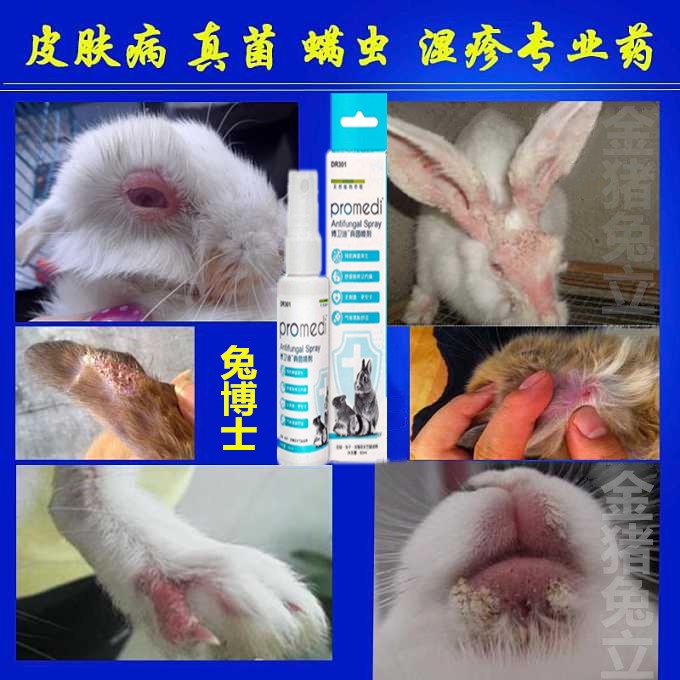 Rabbit Fungus Skin Disease Mites Picking Spray Guinea Pig Foot ...