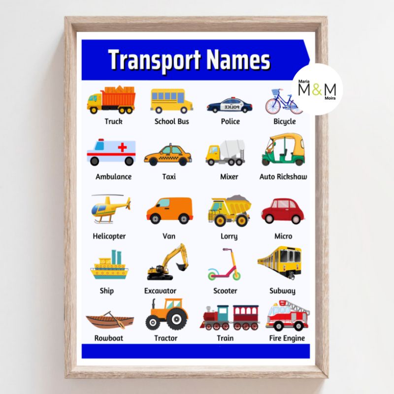 TRANSPORTATION / VEHICLES Chart | A4 Size | Laminated Educational Wall ...