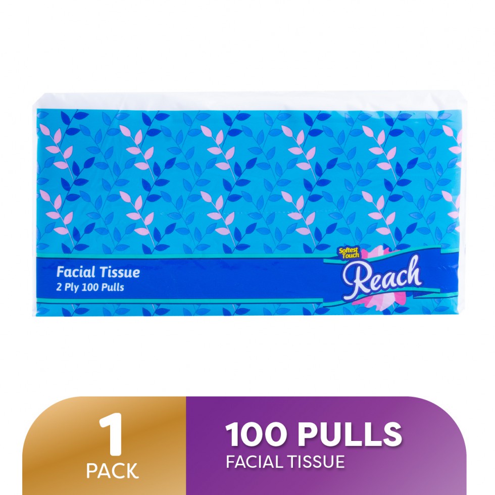 Reach Facial Tissue Big Travel 2Ply 100Pulls | Shopee Philippines