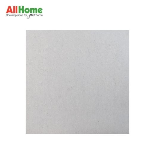 Lustro Tiles 60X60 Tny 6311 Gritty Grey Tiles for Floor | Shopee ...