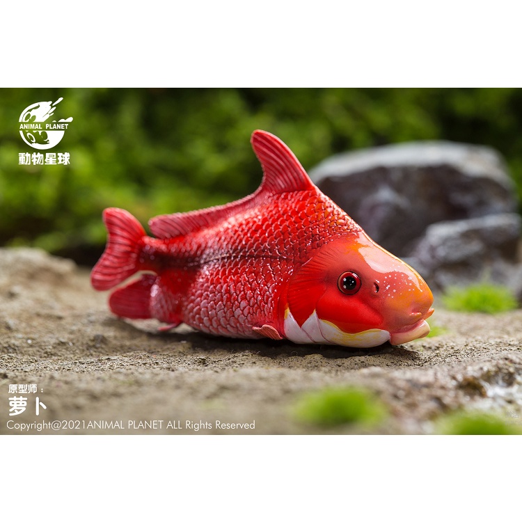 Animal Planet Heart Wide Body Fat Chinese Treasure Series Yangzi ...