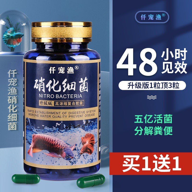 Water Purification Fish Tank Nitrifying Bacteria Water Purification ...
