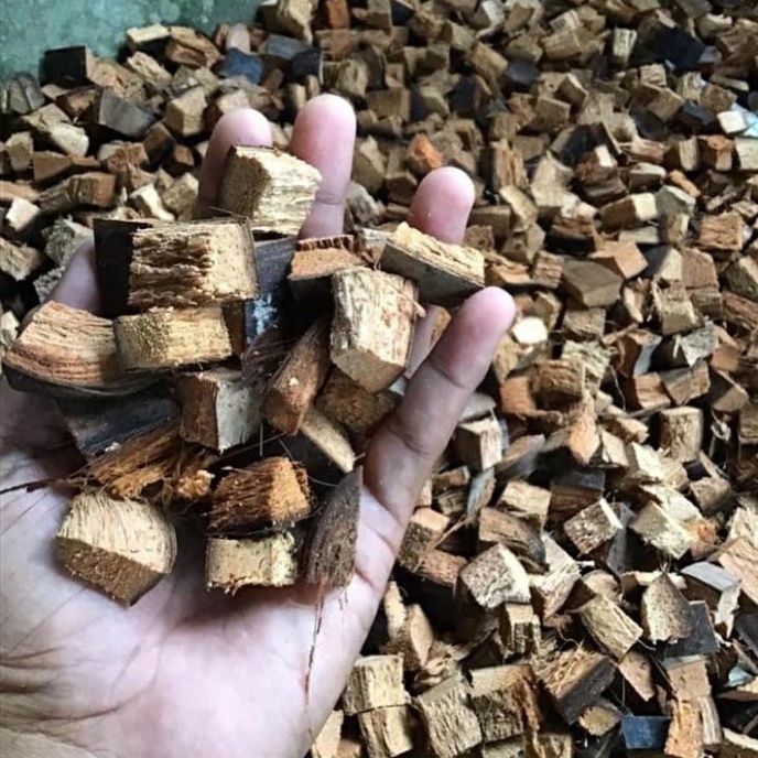 Coco Chips/Coco Chops/Coconut Husk for Orchids | Shopee Philippines
