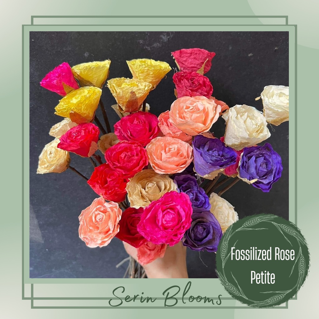 Fossilized Rose (Petite)sold per piece 4-5cm | Shopee Philippines