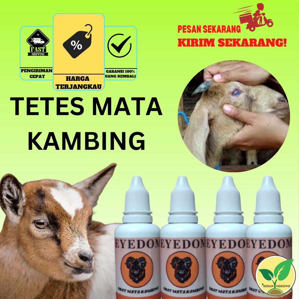 MATA Belekan Eye Drops Special for Goats Sheep Cows | Shopee Philippines