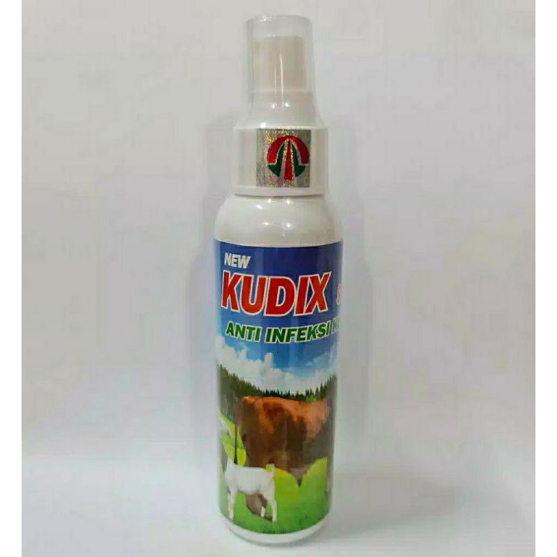 KUDIX SPRAY ANTI-SKIN INFECTION MEDICINE FOR GUDIG, ECZEMA, SCABS IN ...