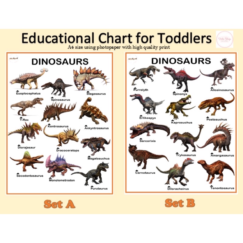 A4 Laminated Dinosaurs Chart | Shopee Philippines