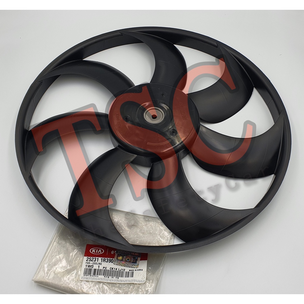 ORIGINAL Radiator Cooling Fan Hyundai Accent Kia Rio Part no. 25231 ...