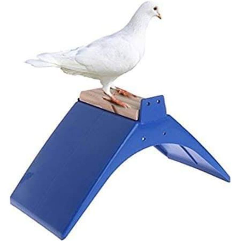 Bird tenggaran/pigeon Drought/Post pigeon rest Place/Post pigeon ...