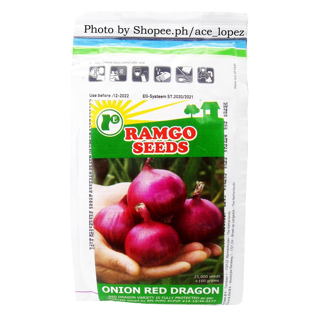 Onion Red Dragon 25,000 seeds by Bejo Netherland Imported by Ramgo ...
