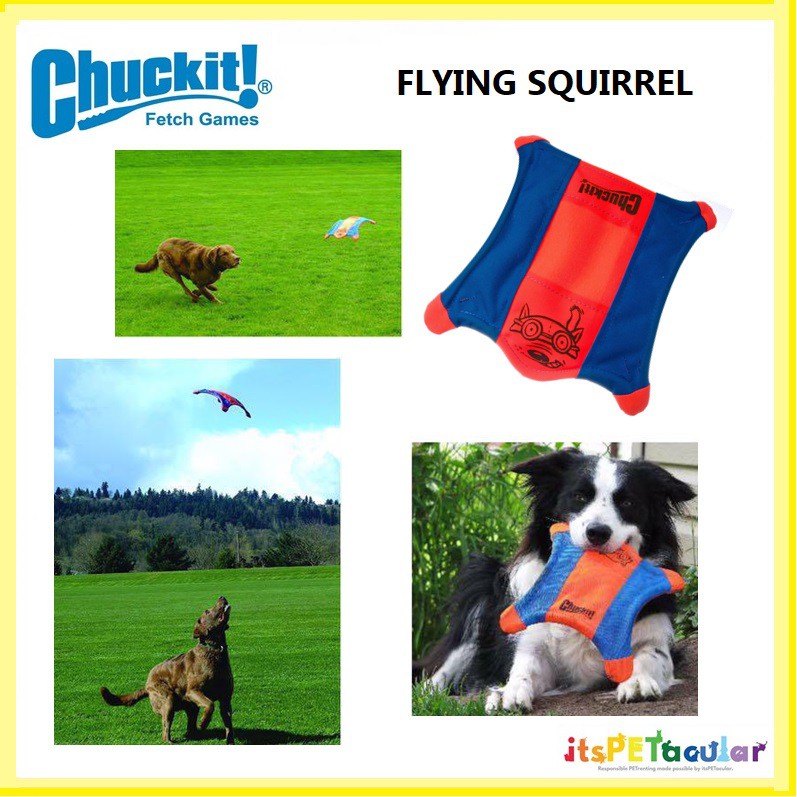 Chuckit! Flying Squirrel Fetch Dog Toy | Shopee Philippines