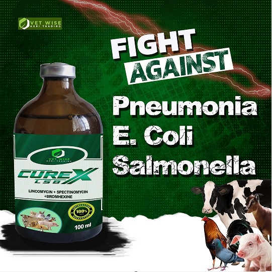 Curex Anti-Pneumonia and E.Coli and Salmonella 10ml | Shopee Philippines