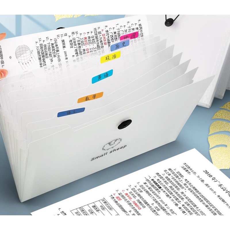 [#DH001] A4 Expanding File Folders Multiple Pockets | Shopee Philippines