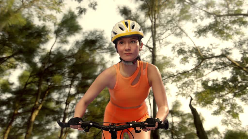 Biofitea Slimming Herbal Tea with Senna Leaves and Senna Pods - 30 ...