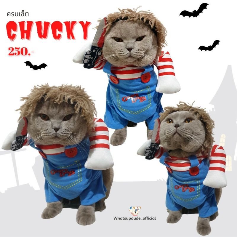 Chucky Dog And Cat Set | Shopee Philippines