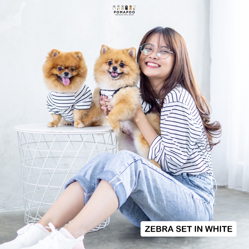 POMAPOO - Women's Clothes Set and Cat Clothes and Dog Clothes Zebra ...