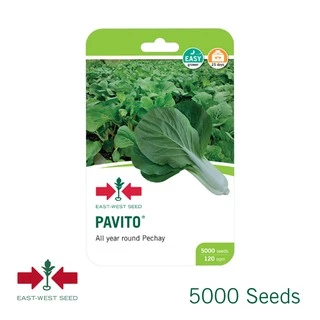 PAVITO (PECHAY) SEEDS - Best Prices and Online Promos - Apr 2024 ...