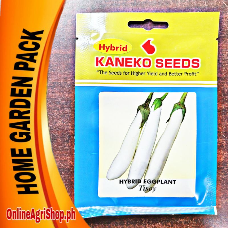 TISOY F1 HYBRID WHITE EGGPLANT MAPUTING TALONG SEEDS APPROX 228 SEEDS ...