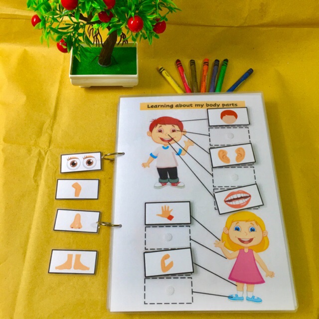 Learning about my body parts Detachable Fully Laminated Learning ...