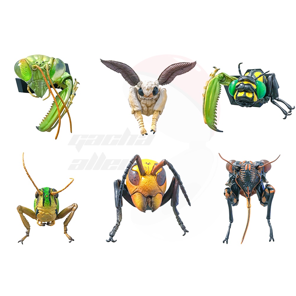 Takara Tomy 3D Capsule Encyclopedia Insect Face Picture Book Ref Magnet ...