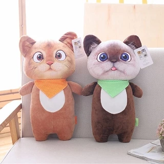 ragdolls - Best Prices and Online Promos - Aug 2024 | Shopee Philippines