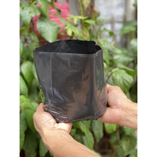 Seedling bags - 5×5×9(100 pcs.) pack/gusette/black | Shopee Philippines