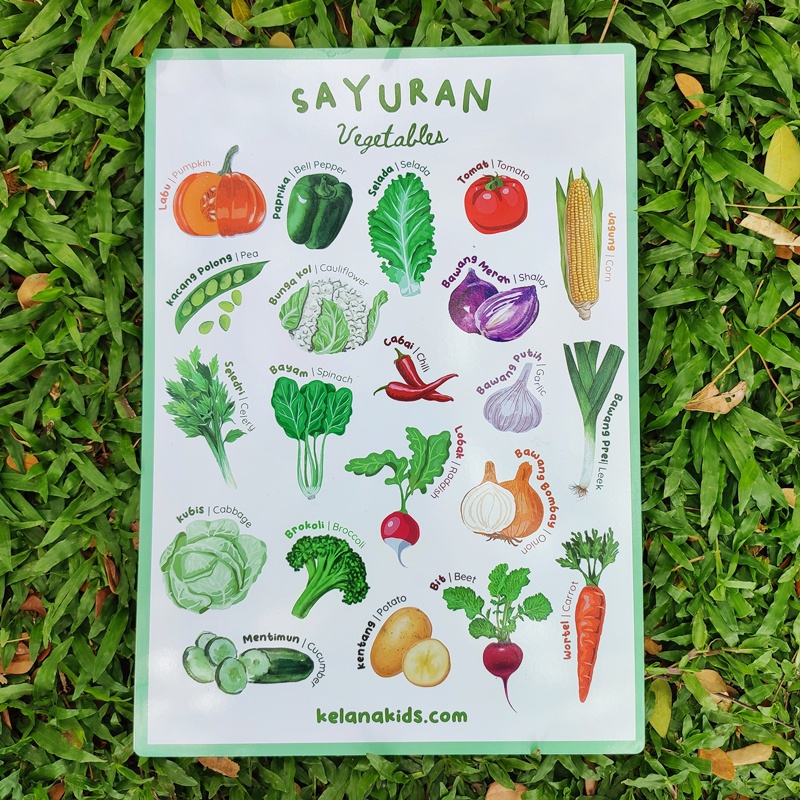 A3 Vegetable Wipe Clean Education Poster Vegetables | Shopee Philippines