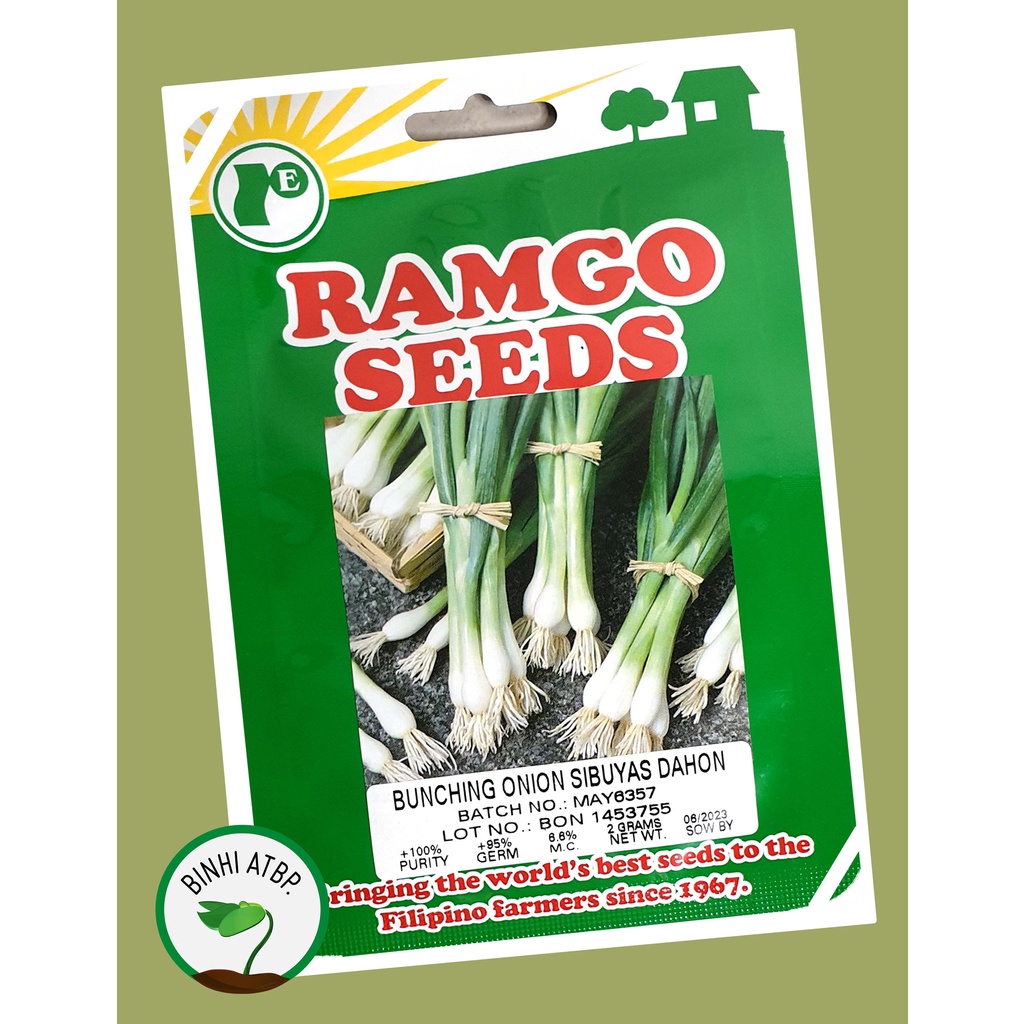 Ramgo Onion Bunching Sibuyas Dahon (Scallions/Spring Onion) Seeds ...