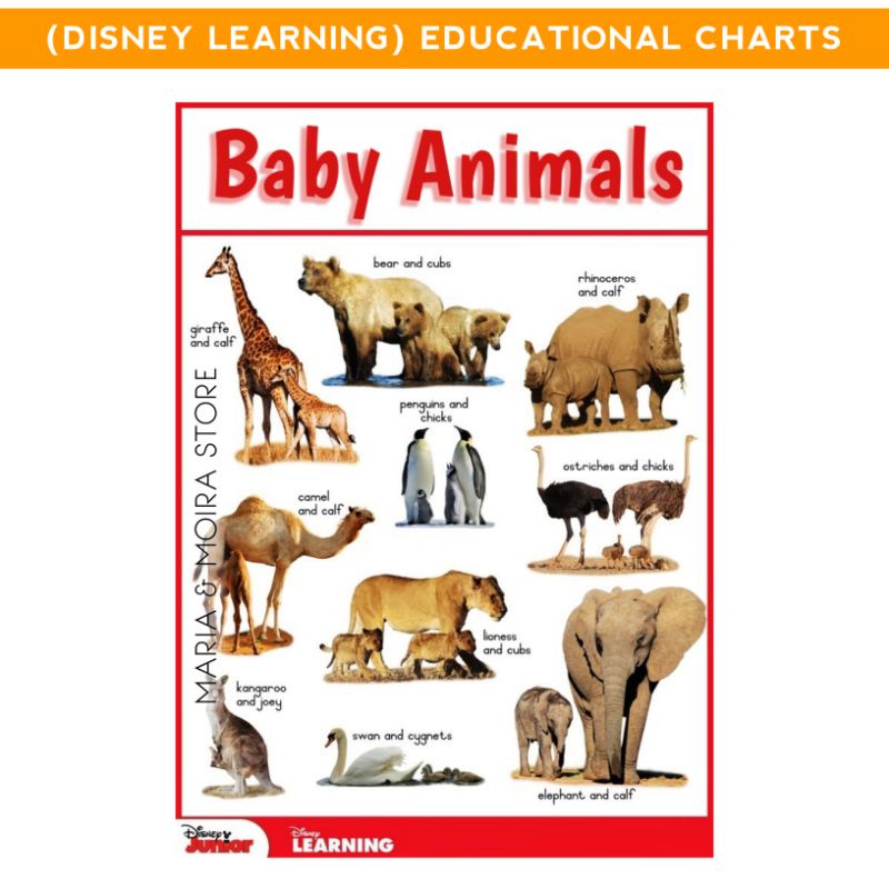 (Disney Learning) LAMINATED EDUCATIONAL CHART | A4 Size | For Toddlers ...